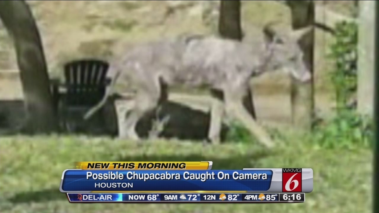 Chupacabra Sightings New Jersey