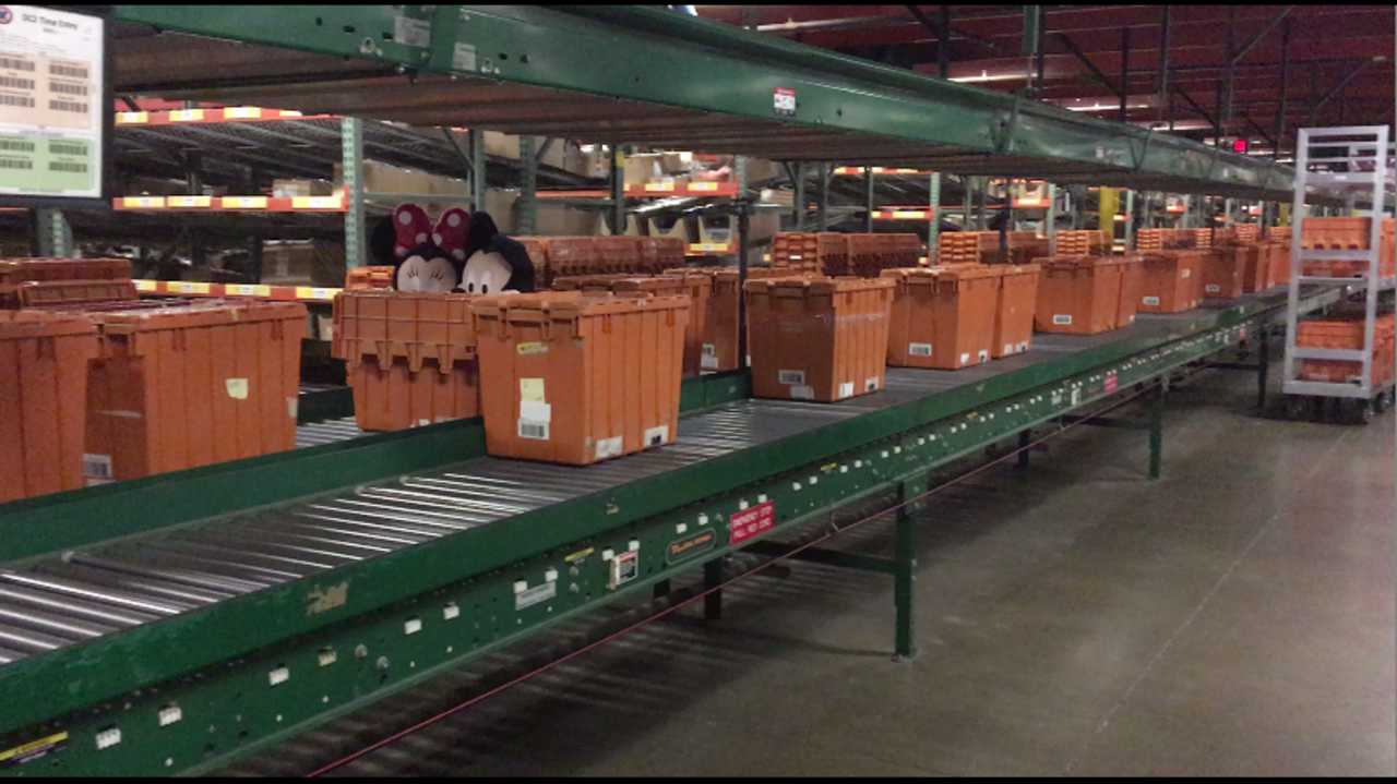 Behind the magic: Inside Disney's Distribution Services