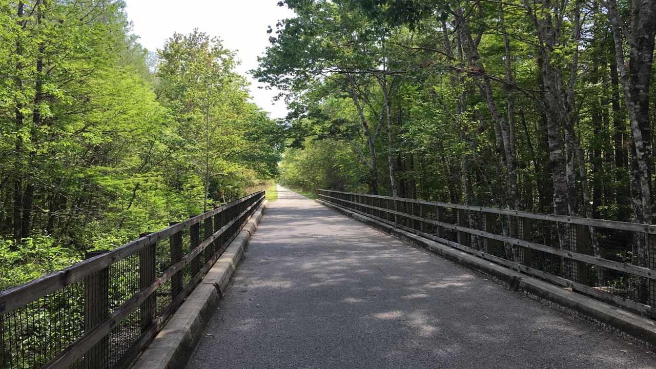 Top 5 bike trails in the Orlando area